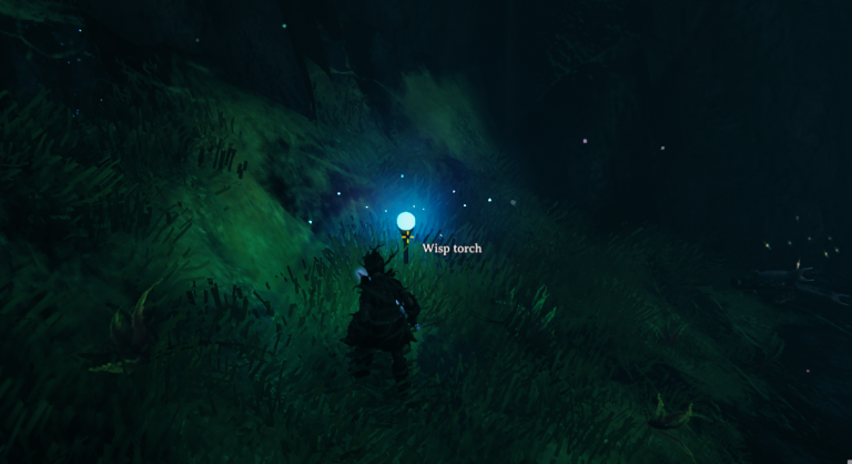 Valheim: How to Clear the Mist in the Mistlands - Gamer Digest