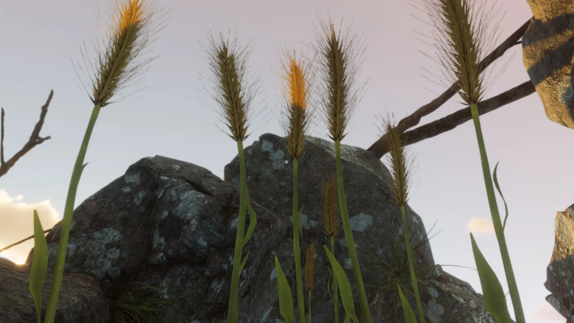 Smalland: Where to Find Seeds - Gamer Digest