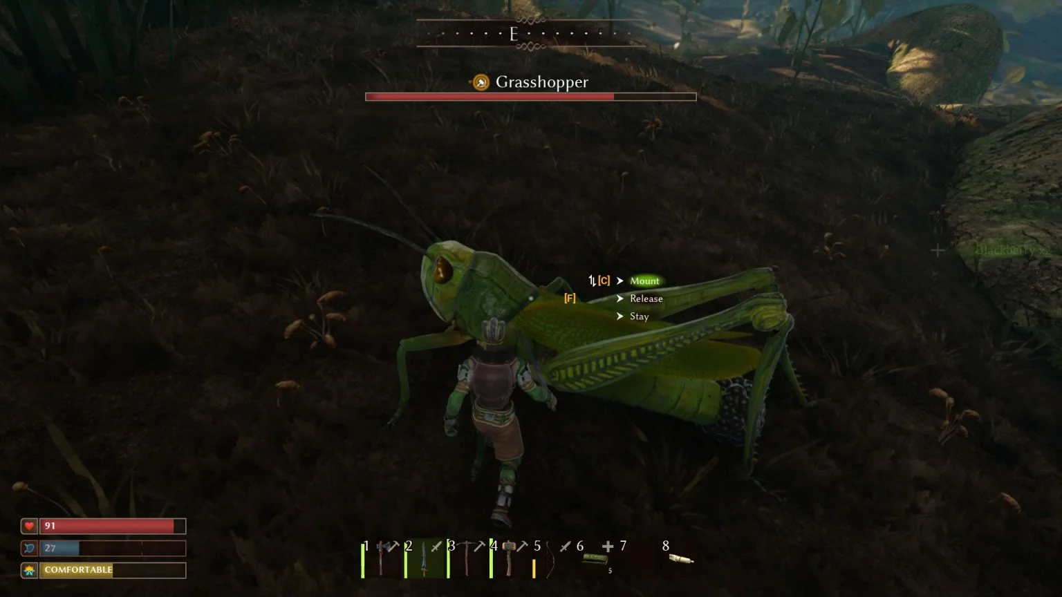 Smalland: How to Get a Mount and Tame Insects - Gamer Digest