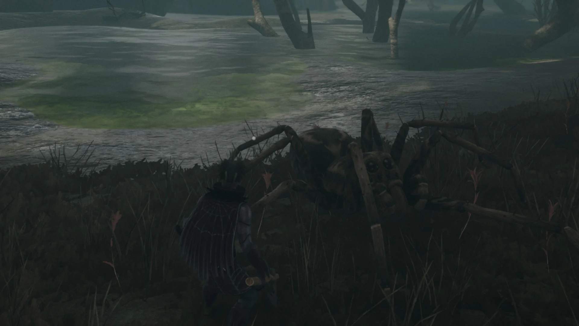 Where to Find a Spider Head in Smalland - Gamer Digest