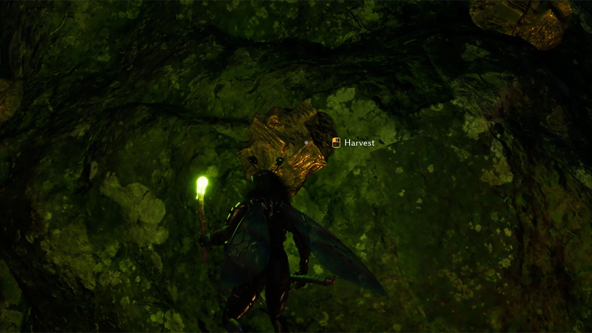 Where to Find Pyrite in Smalland: Survive the Wilds - Gamer Digest